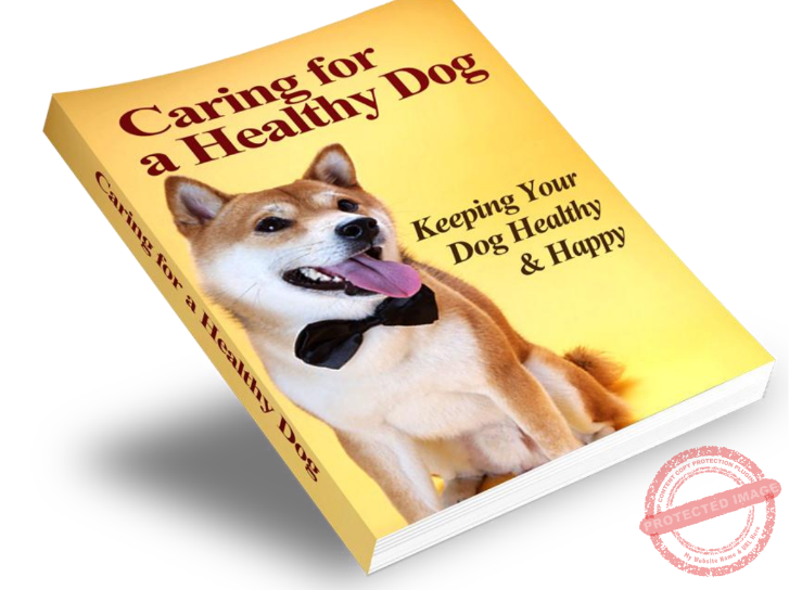 Caring for a Healthy Dog - ExcelReads