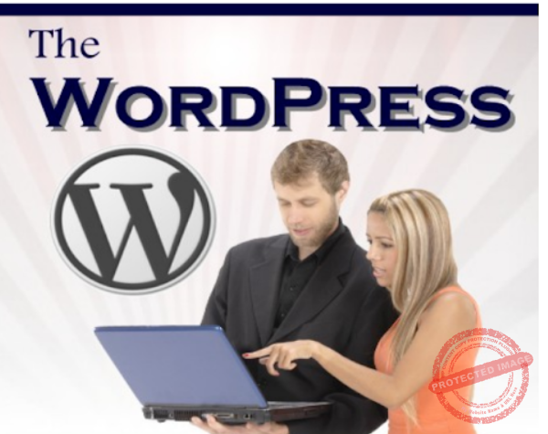 The Word Press ! - ExcelReads
