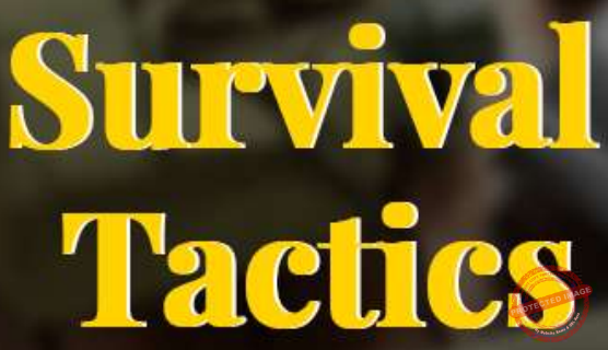 Survival Tactics ! - ExcelReads