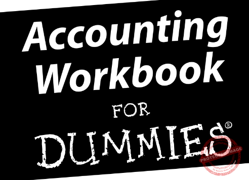 Accounting Workbook For Dummies ! - ExcelReads