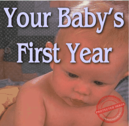 Your Baby First Year Excelreads