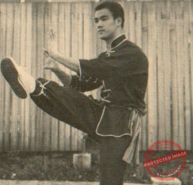 Chinese Gung Fu Bruce Lee ! - ExcelReads