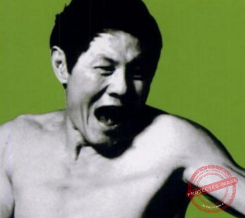 Wing Chun Kungfu Yim Lee ! - ExcelReads