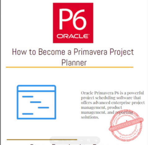 Oracle Primavera P6 Project Planner - ExcelReads