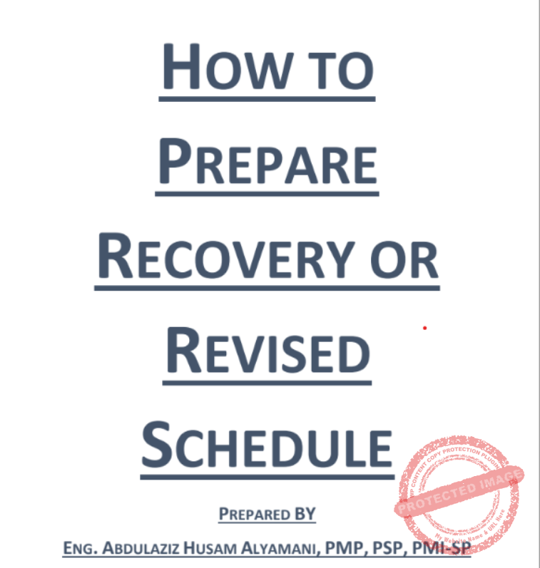 Prepare for Recovery or Revised Schedule - ExcelReads