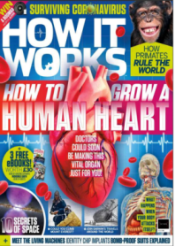 Human Heart - ExcelReads